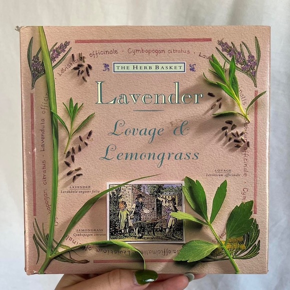 American Vintage | Other | Vintage Lavender Book | Poshmark